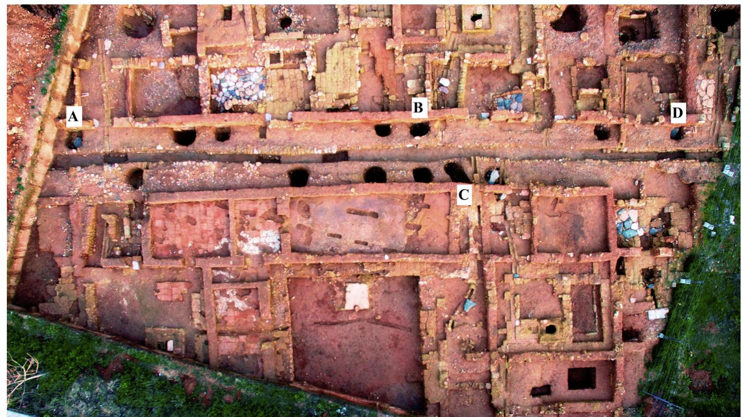 Figure 3 - Intestinal parasites in six Islamic medieval