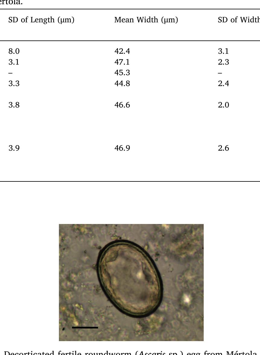 Figure 5 - Intestinal parasites in six Islamic medieval