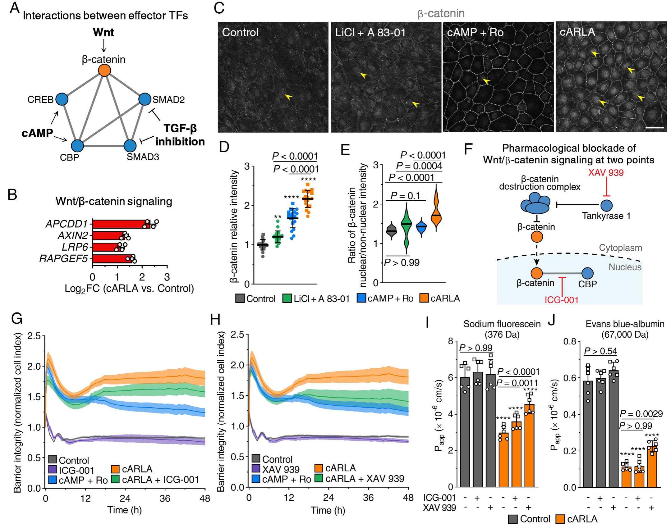 Targeted pathways converge on wnt/f-catenin signaling to