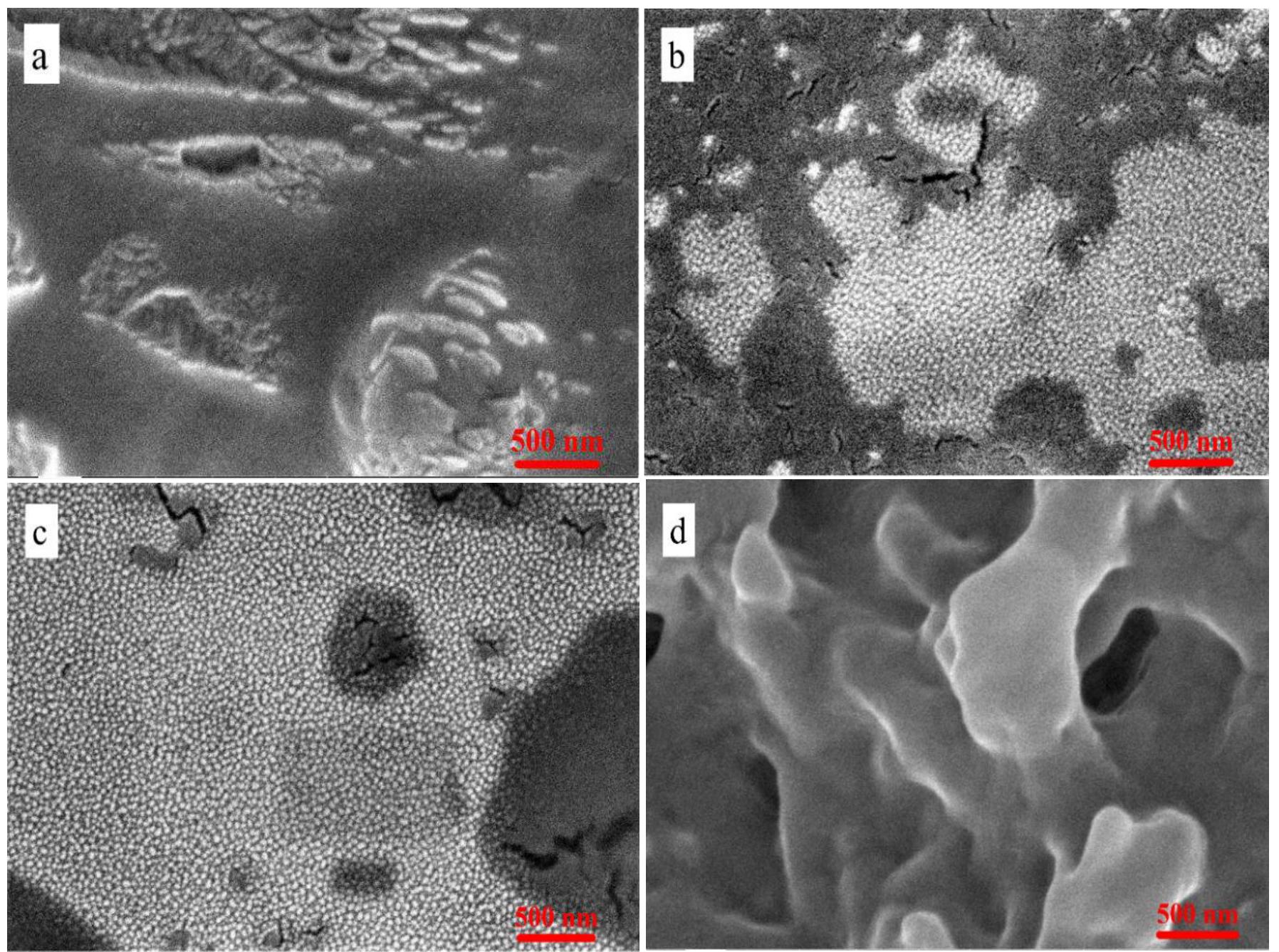 Fe-sem images of surfaces of dspc: dspe-peg2000 micelles