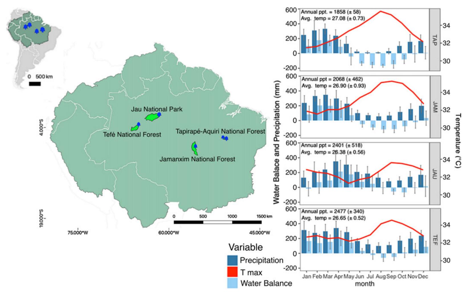 Map of the amazon biome showing the brazil nut (bertholletia