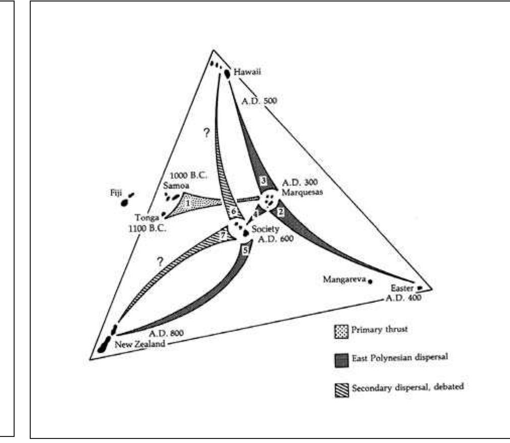 The ‘orthodox model’ of east polynesian colonisation
