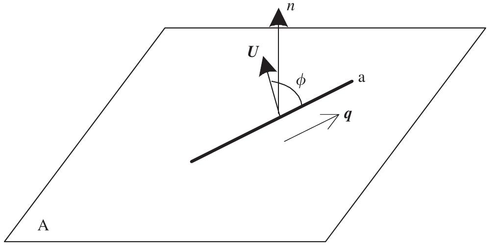 Schematic of orientation of a slender particle. fig. 2.