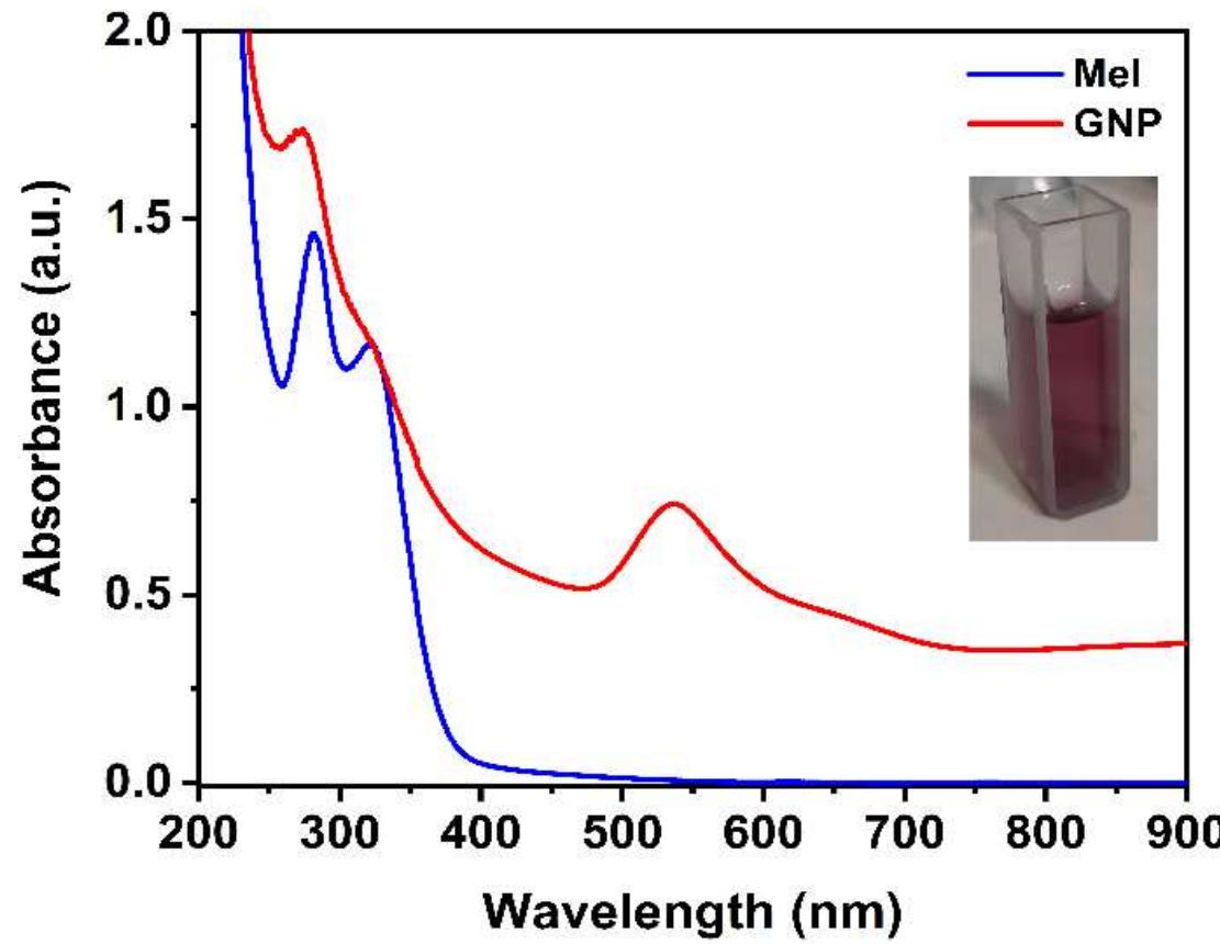 Uv-vis spectra of mel extract and gnp, gnp-mel optical