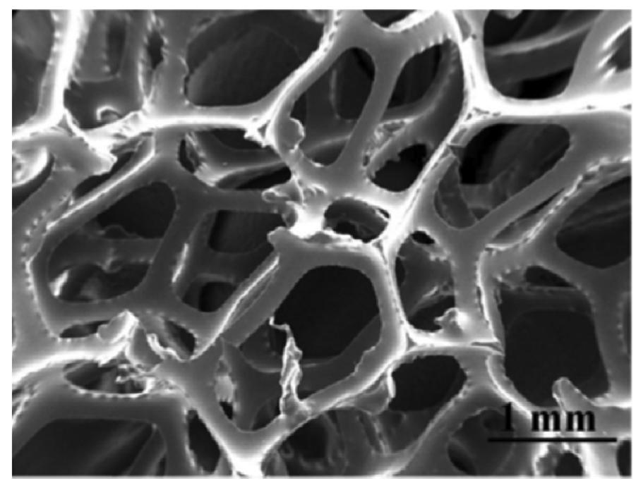 Sem images of cellular glassy carbon networks after the