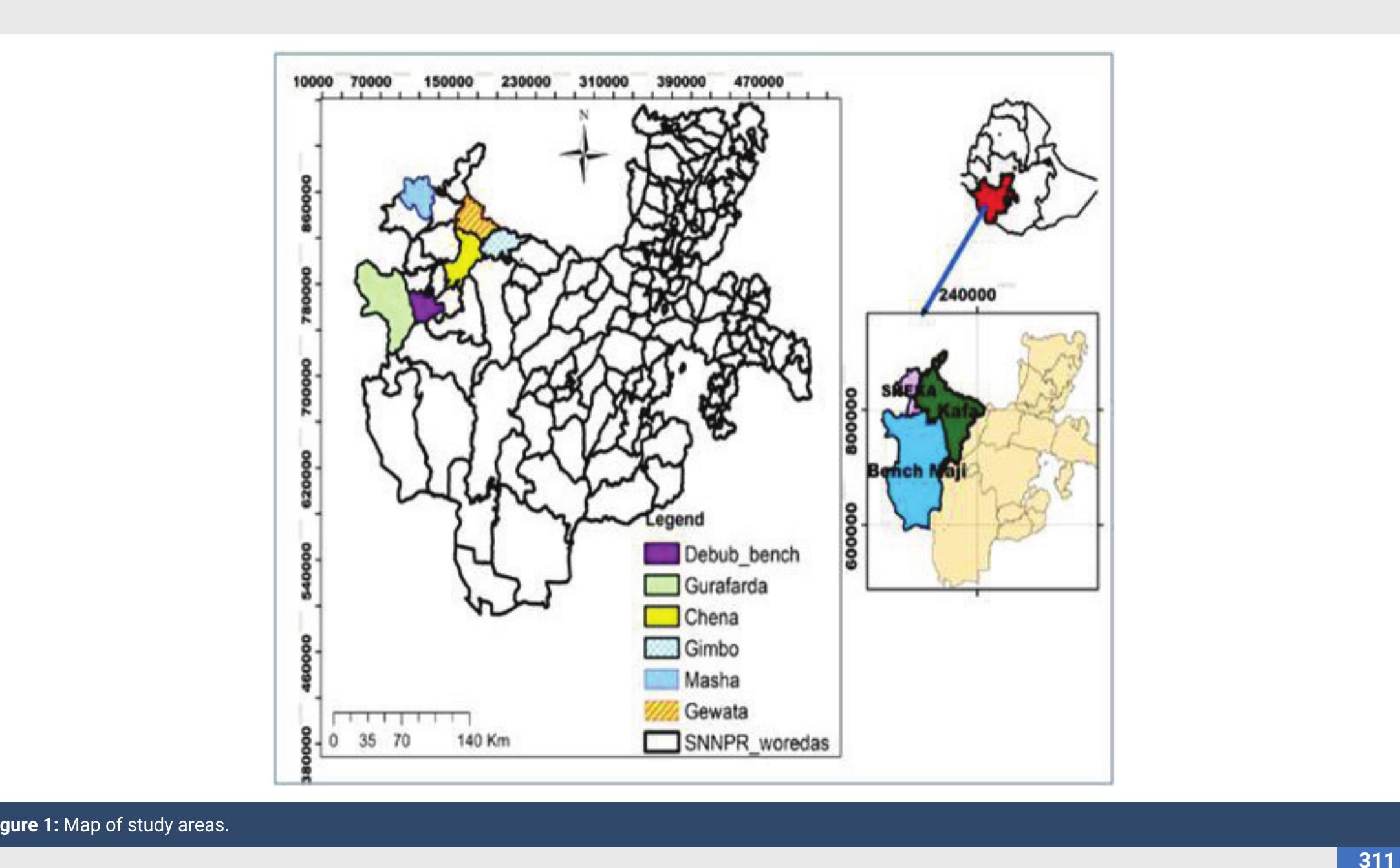 The kafa, sheka and benchi maji zones are found in southern