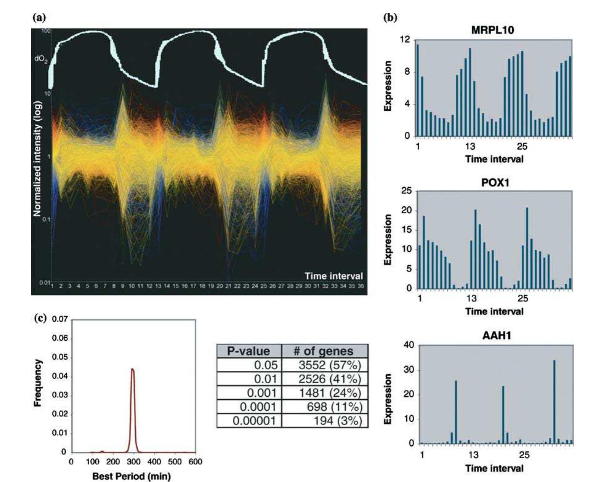 (PDF) 2006WhyLifeOscillates