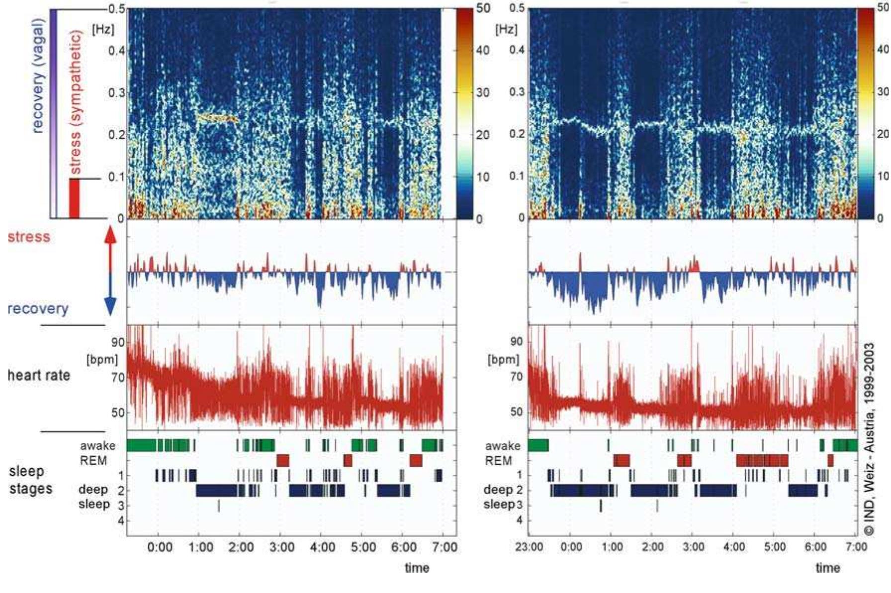 (PDF) 2006WhyLifeOscillates