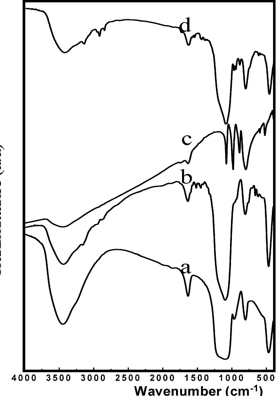 Ft-ir spectra of (a) fumed silica, (b) si-imid, (c) pta, and