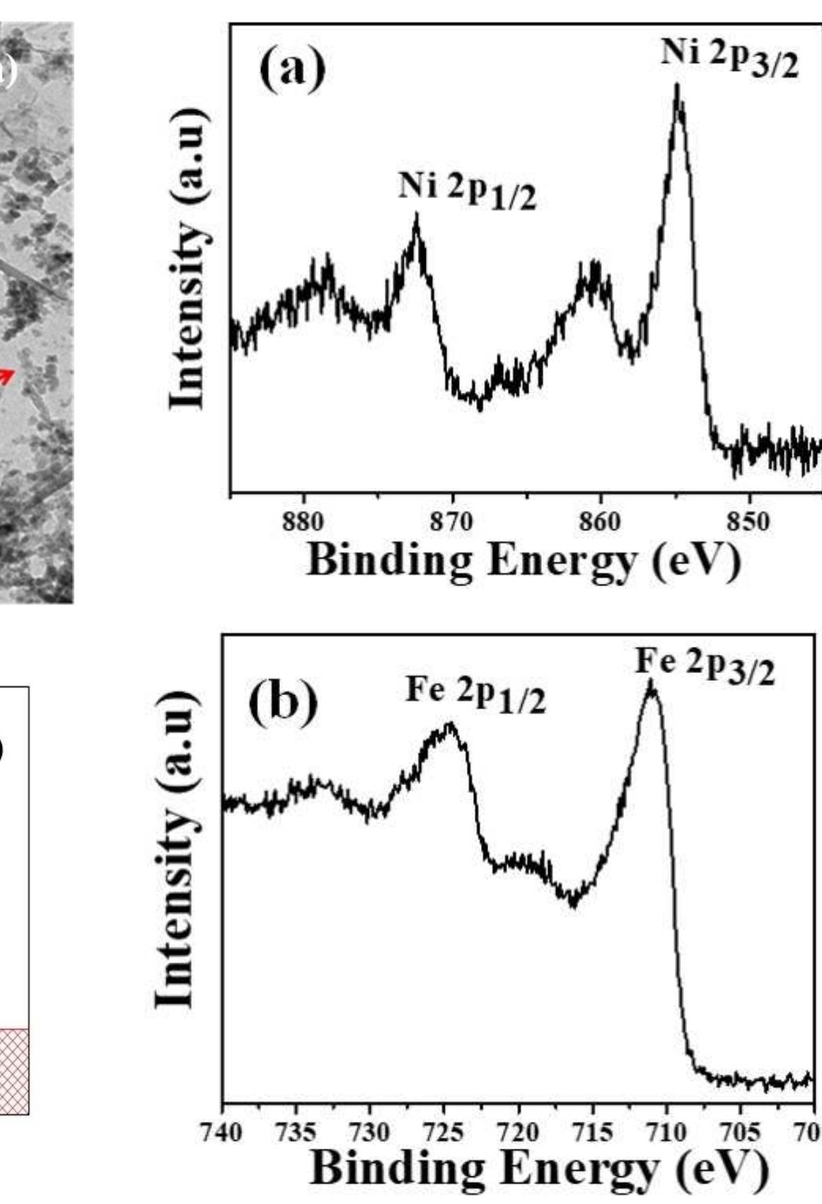 High-resolution xps spectra of (a) ni 2p peaks and (b) fe 2p
