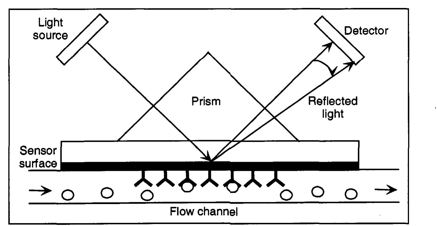 9. schematic diagram of a surface plasmon resonance