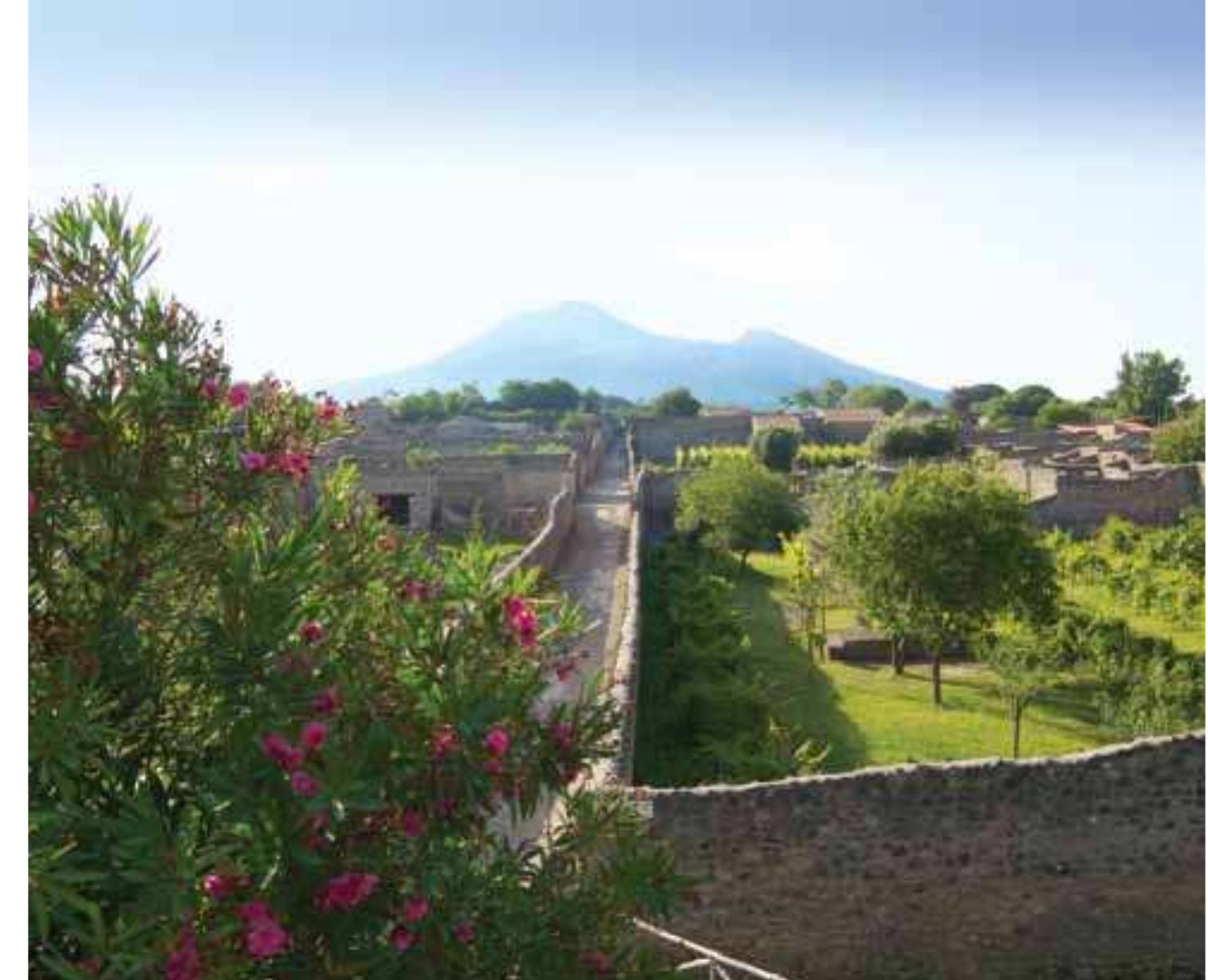 (PDF) What's new in Pompeii?