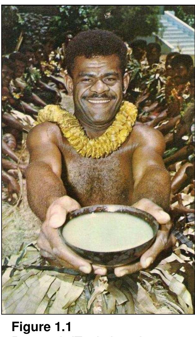 Introduction yagona, also known colloquially in fiji as grog