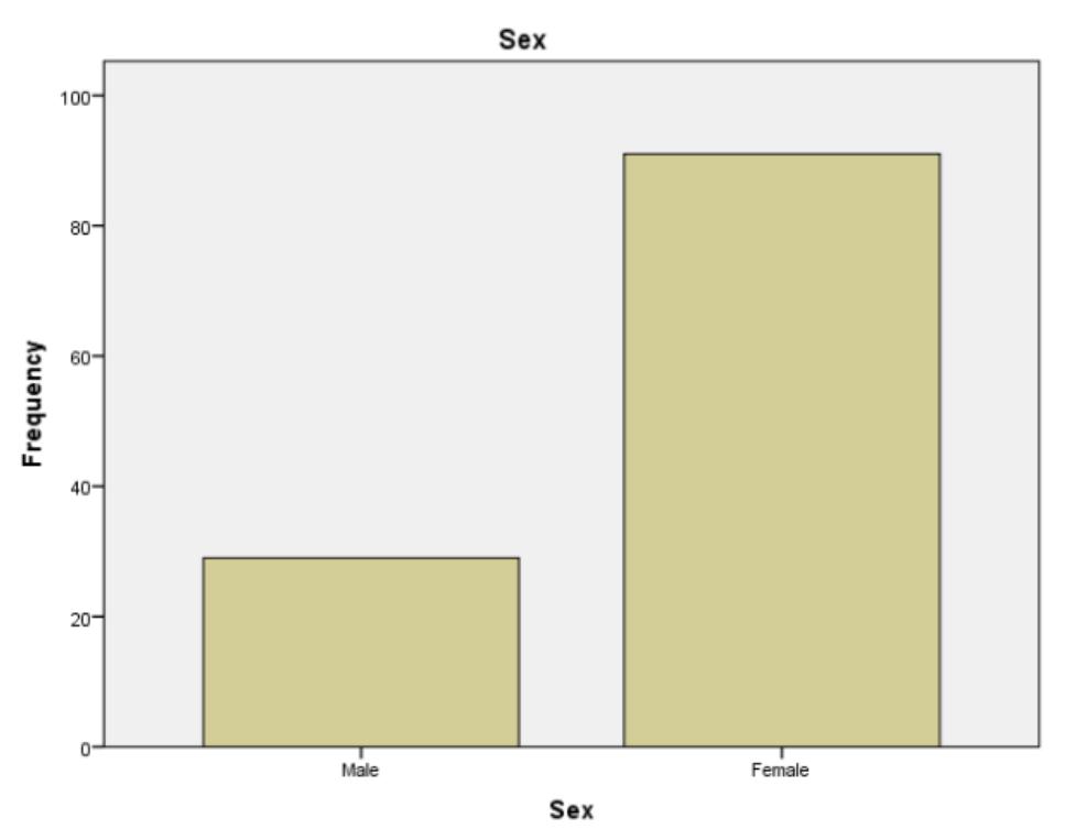 Figure 5 - The Hand Hygiene Protocol Observation Under