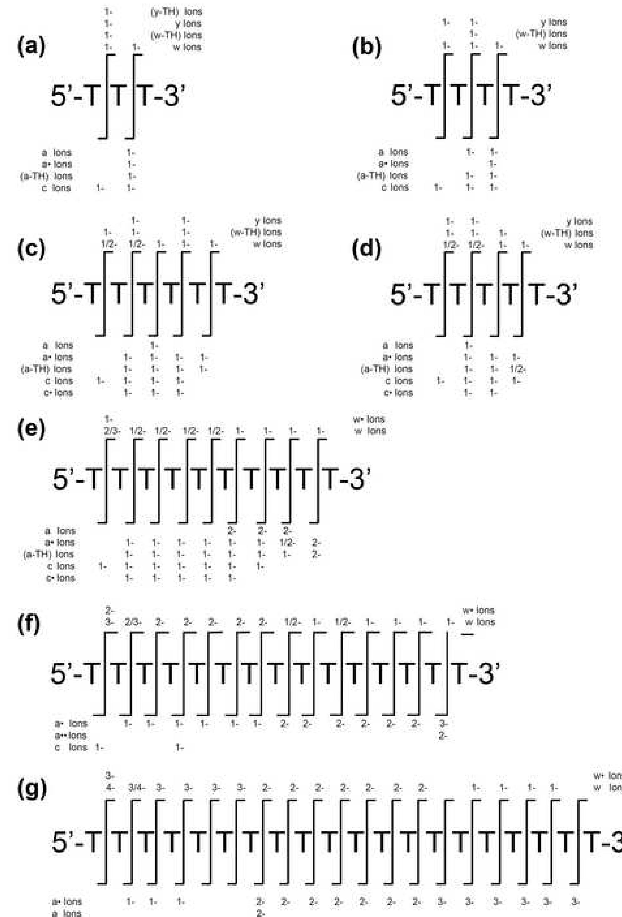 Figure 2 - Electron detachment dissociation (EDD) pathways