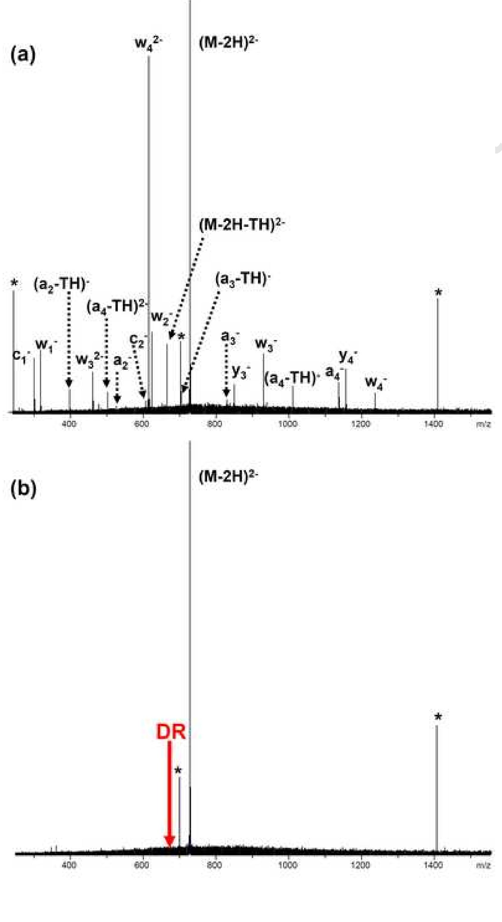 Figure 4 - Electron detachment dissociation (EDD) pathways