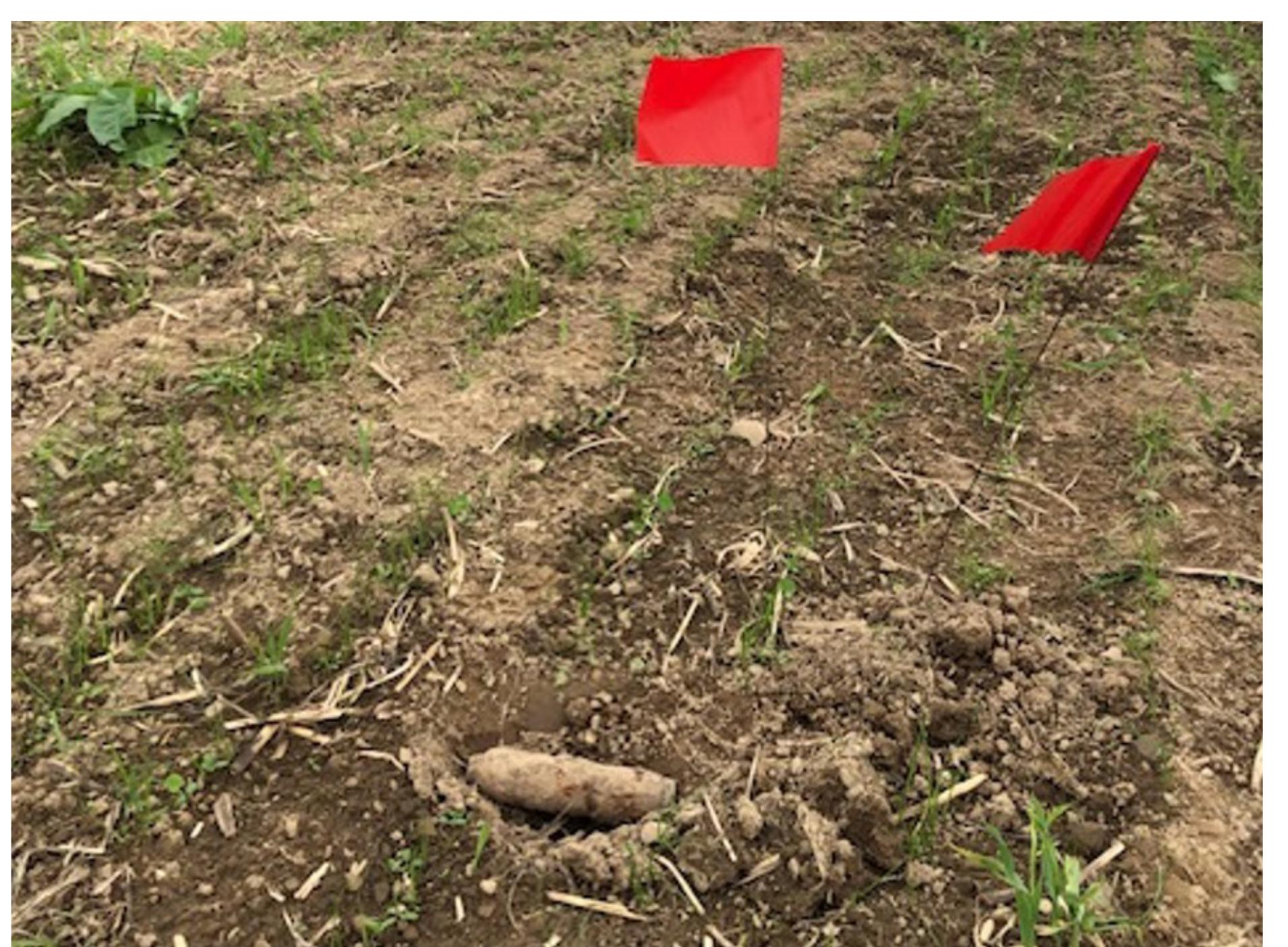 (27) german rifle grenade (202) found in the western fields