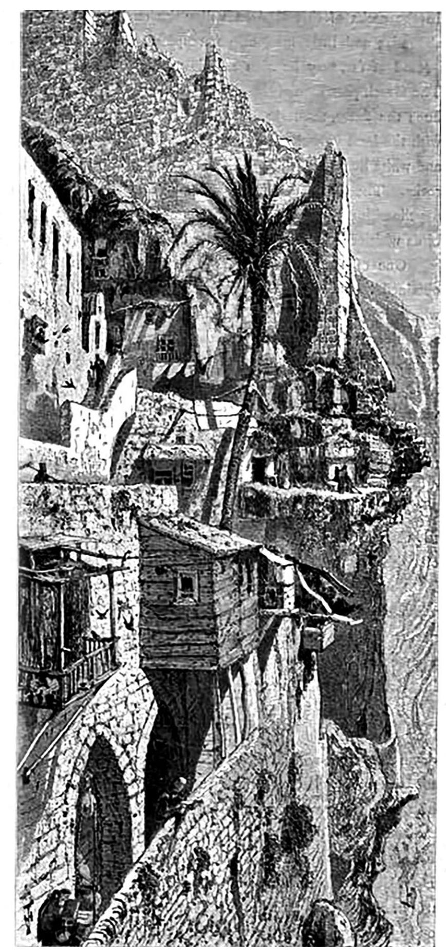Palm tree at the grotto of st saba in 1849, mar saba
