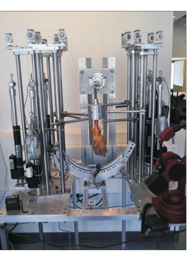 A custom wrist motion simulator system.