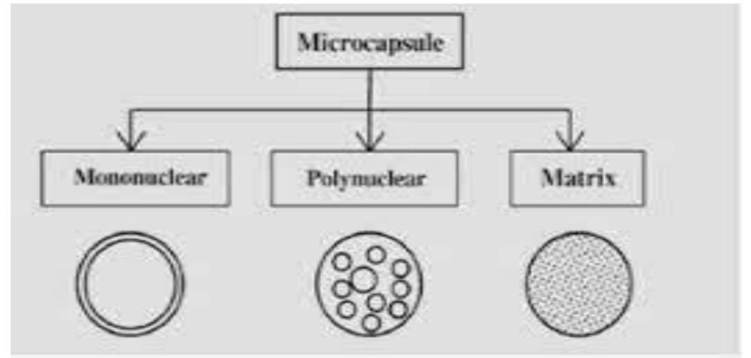Classification of microencapsulation: