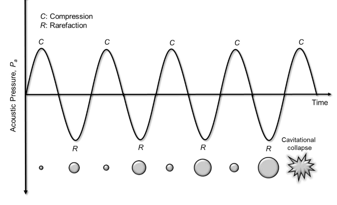 Schematic diagram of acoustic cavitation, bubble growth, and