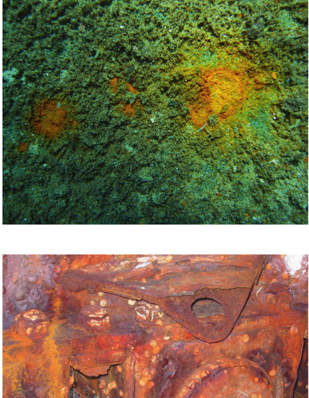 (PDF) Metals: Preservation and Conservation