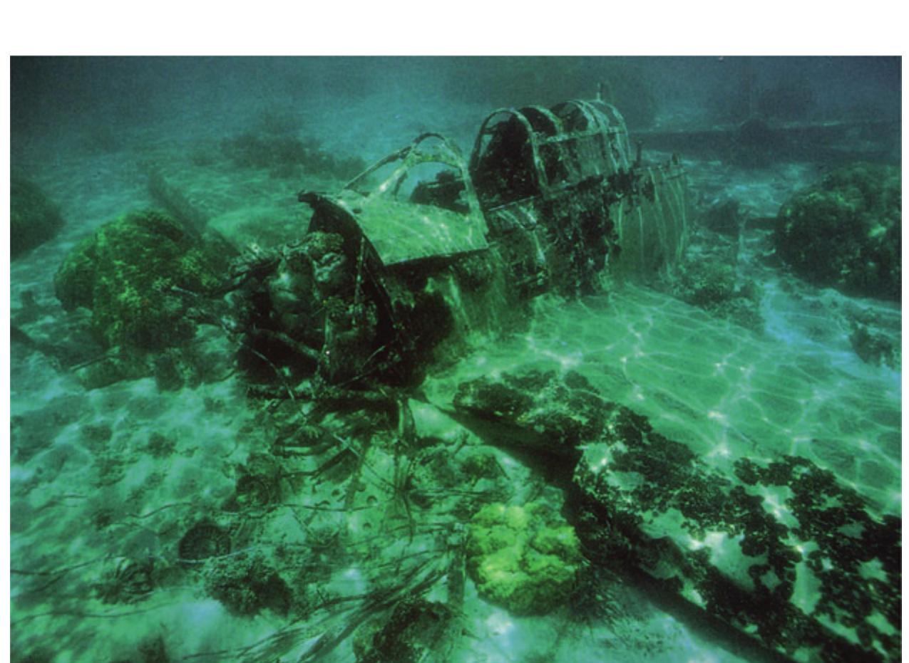 (PDF) Metals: Preservation and Conservation