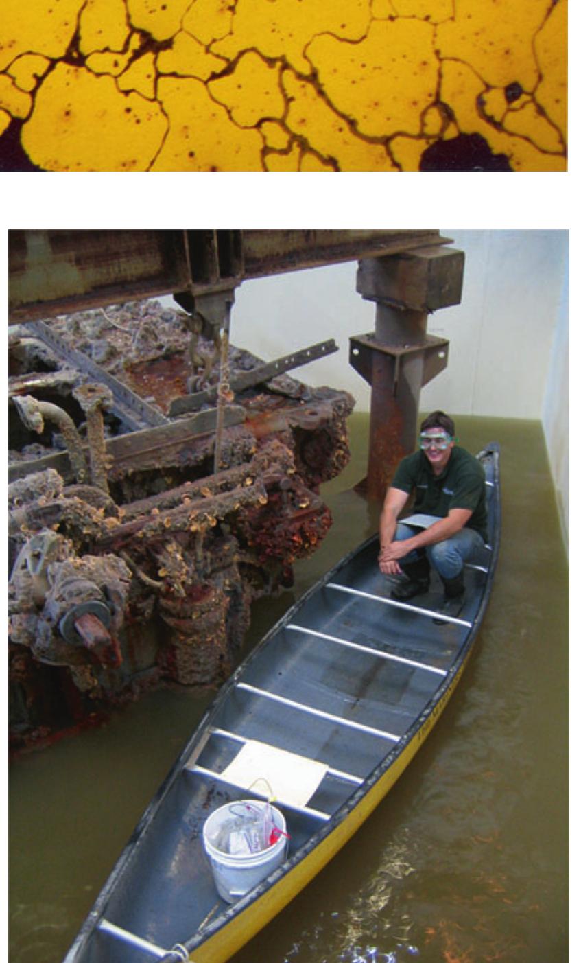(PDF) Metals: Preservation and Conservation
