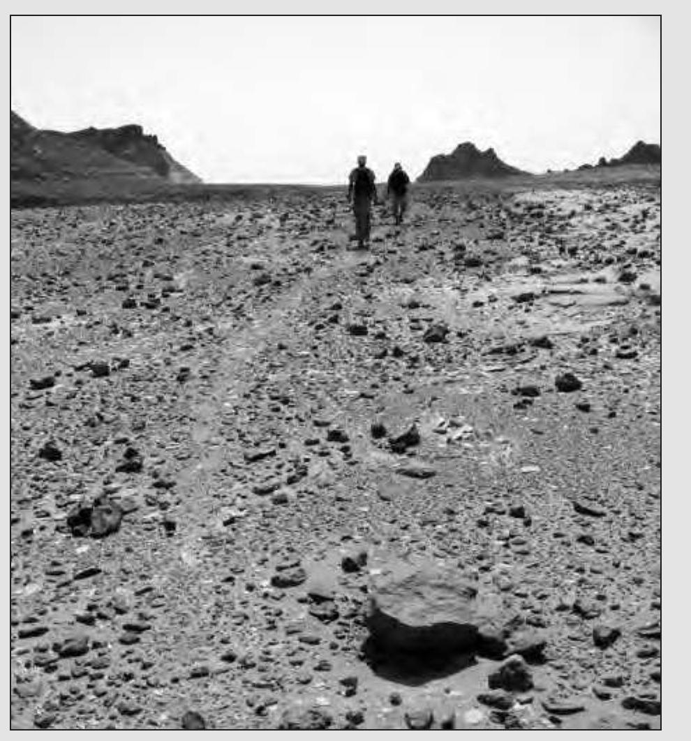 In the very beginning, animal paths were likely used by