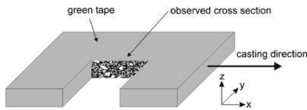 Position of the cross sections used for the determination of