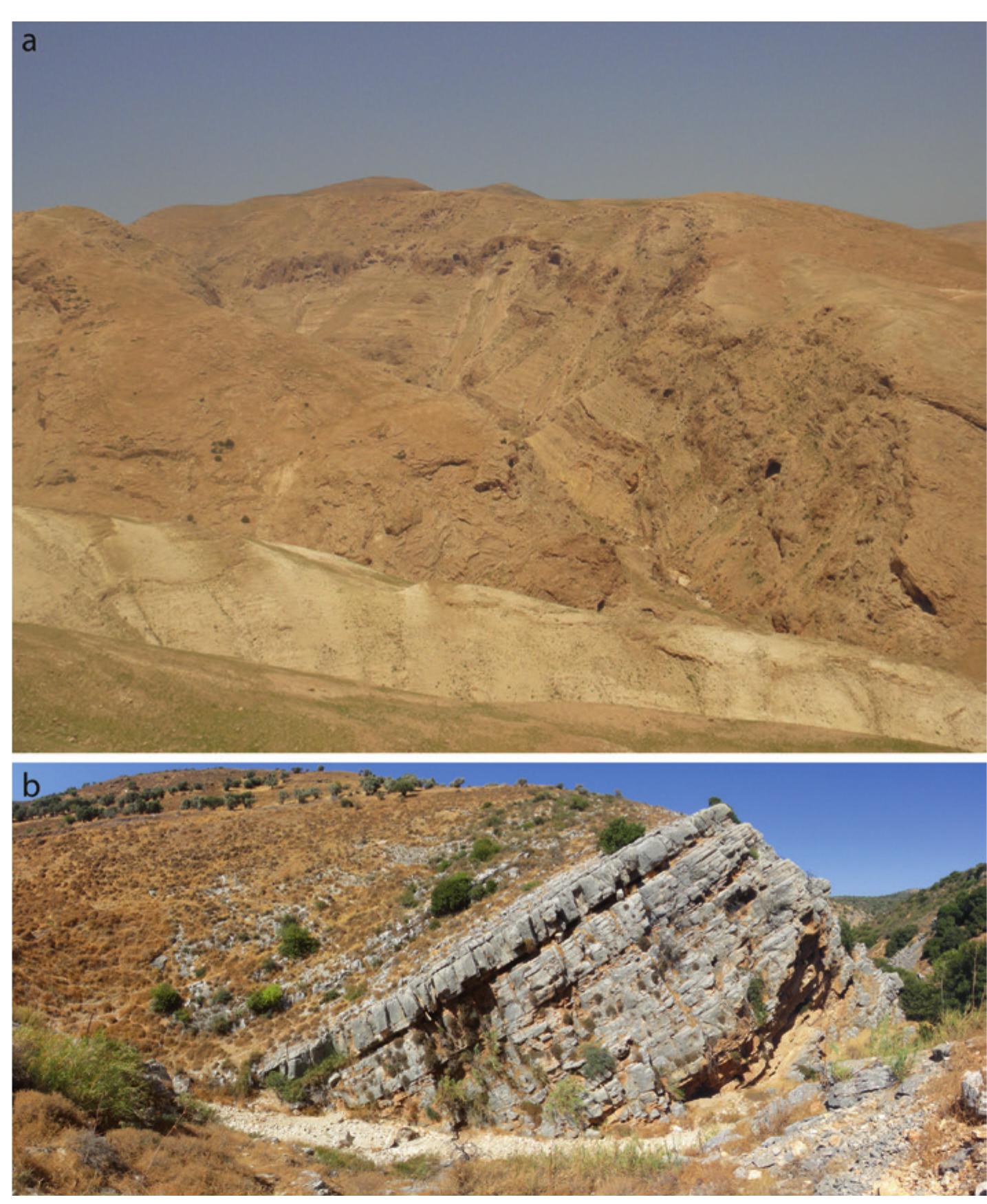 (PDF) Geology and Relief Development of Israel