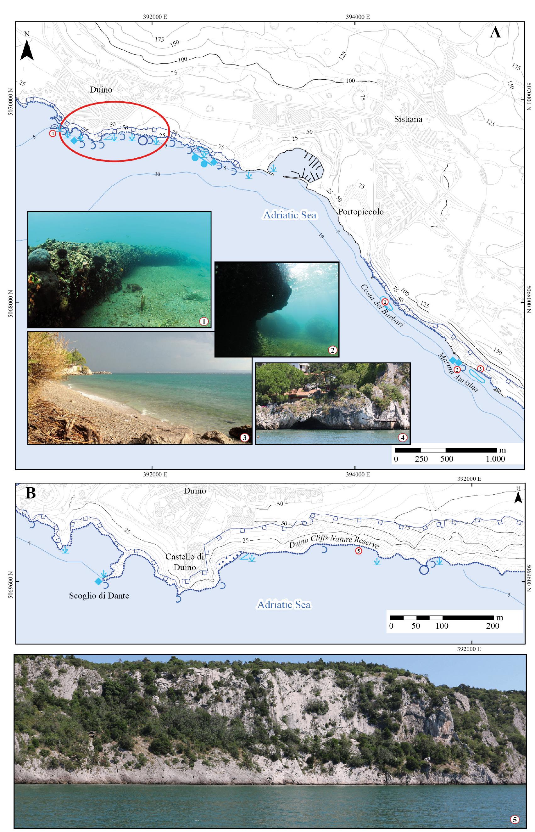Fic. 15 - geomorphological maps of the rocky coast of the