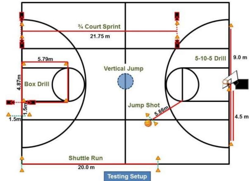 Schematic diagram for the layout of the testing protocol. wp