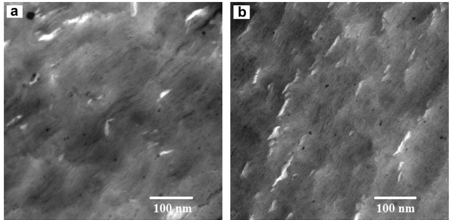 Tem images of microtomed cross-sections of the bbl