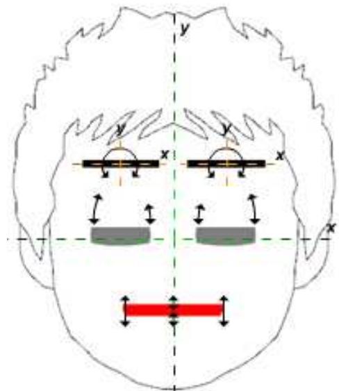 Head shape model shape model of the head in a simulator