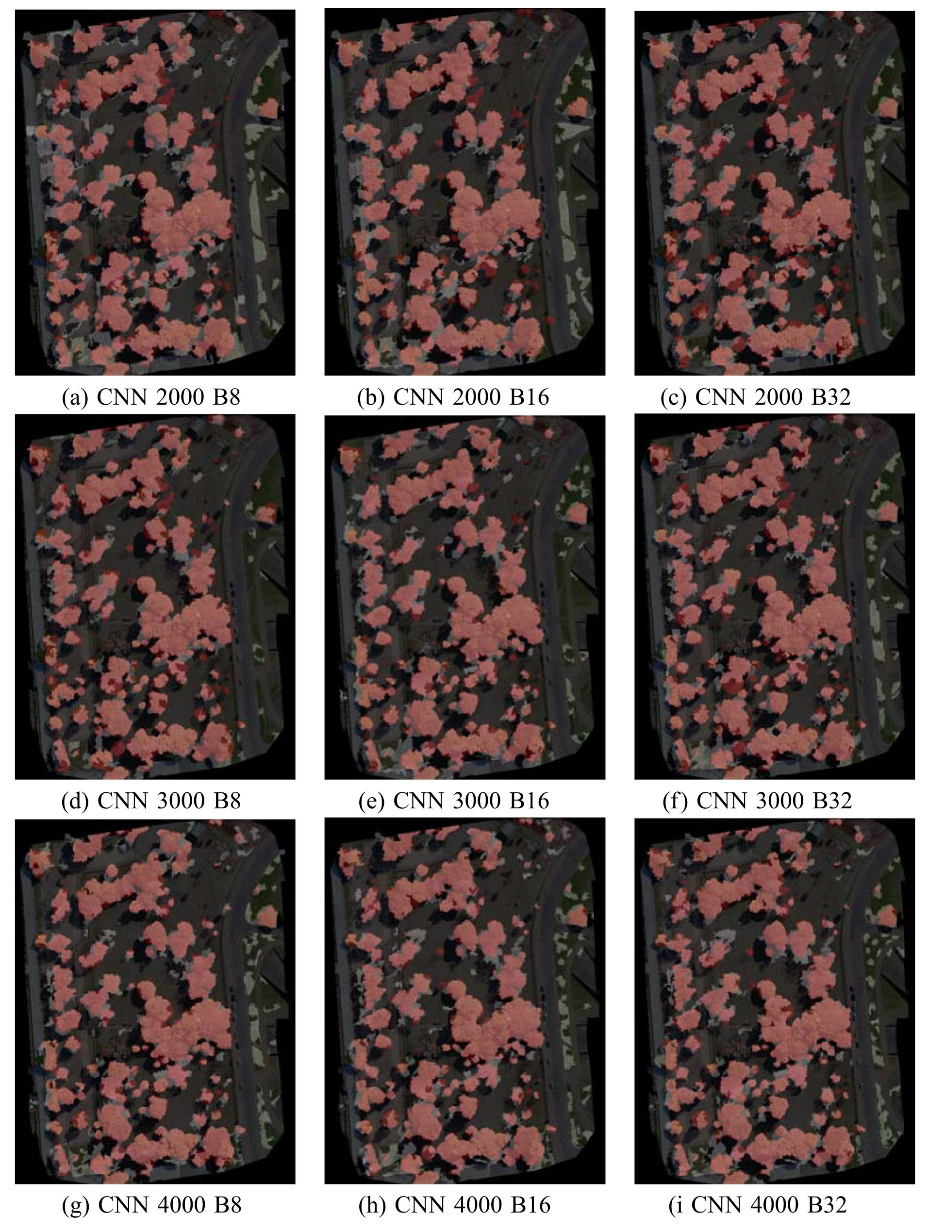 Overlapped segmentation maps of the classifiers used in this