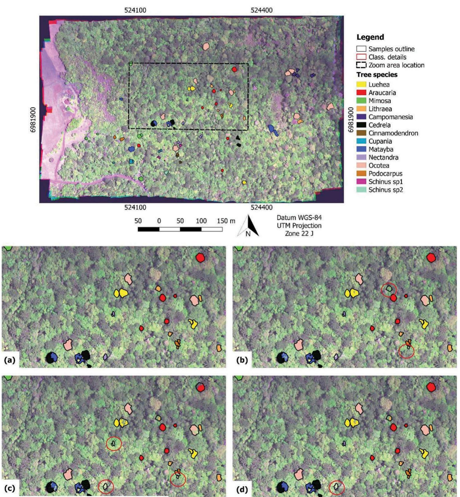 Examples of classification images for area 1. a) reference
