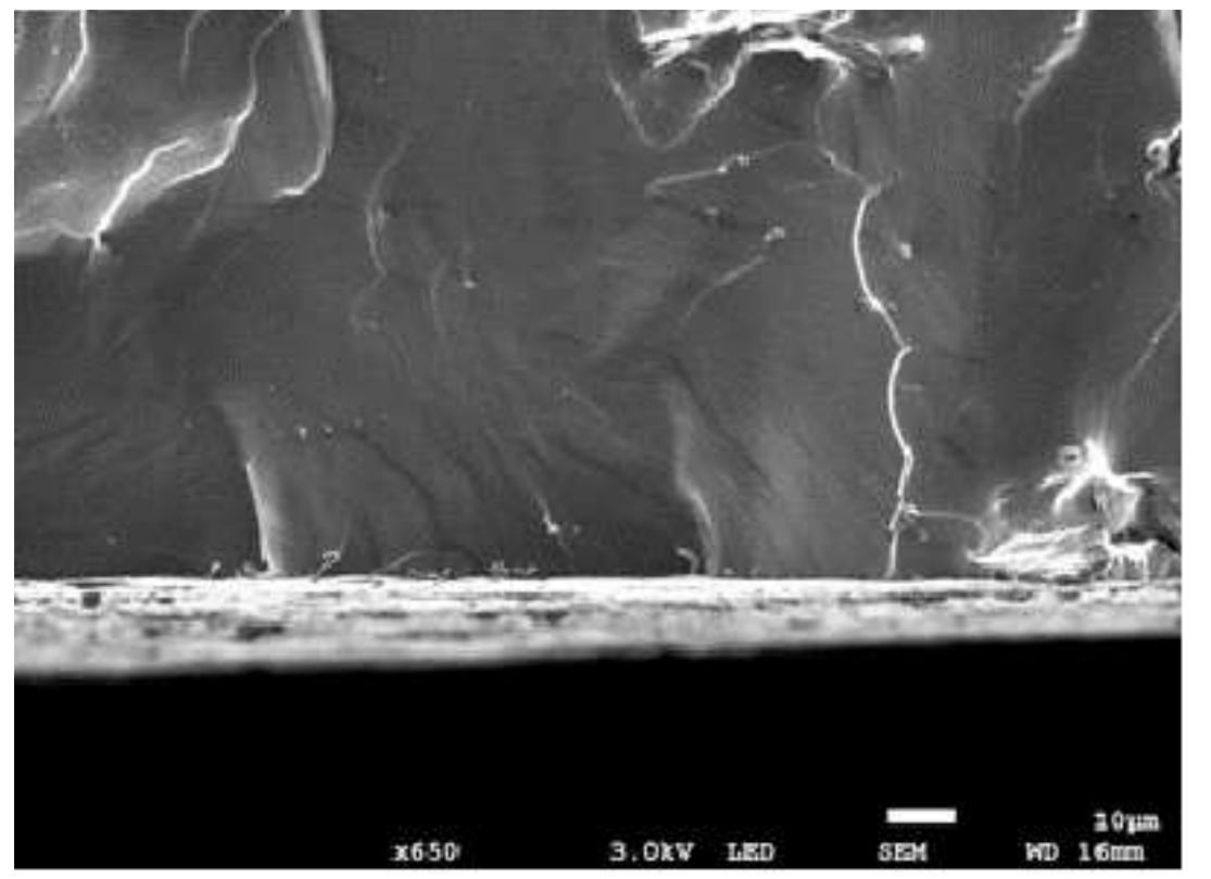 Sem micrograph of the fracture surface of a leaflet produced