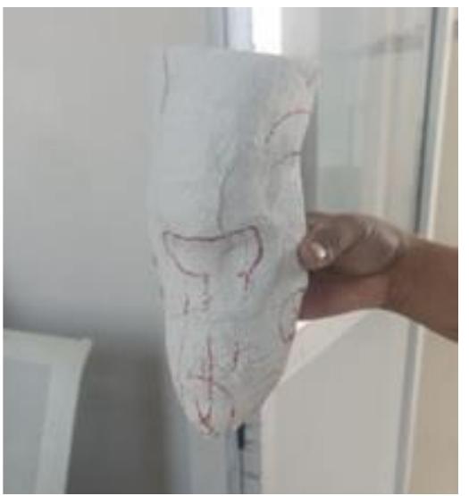 A negative cast made of plaster of paris