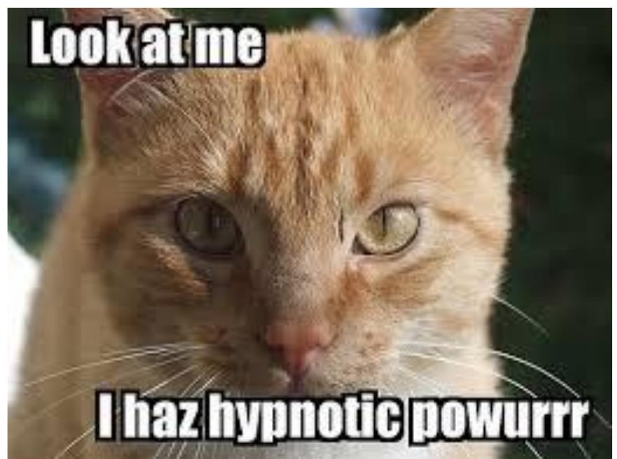 (PDF) Memes In The Digital Age: A Sociolinguistic Examination Of ...
