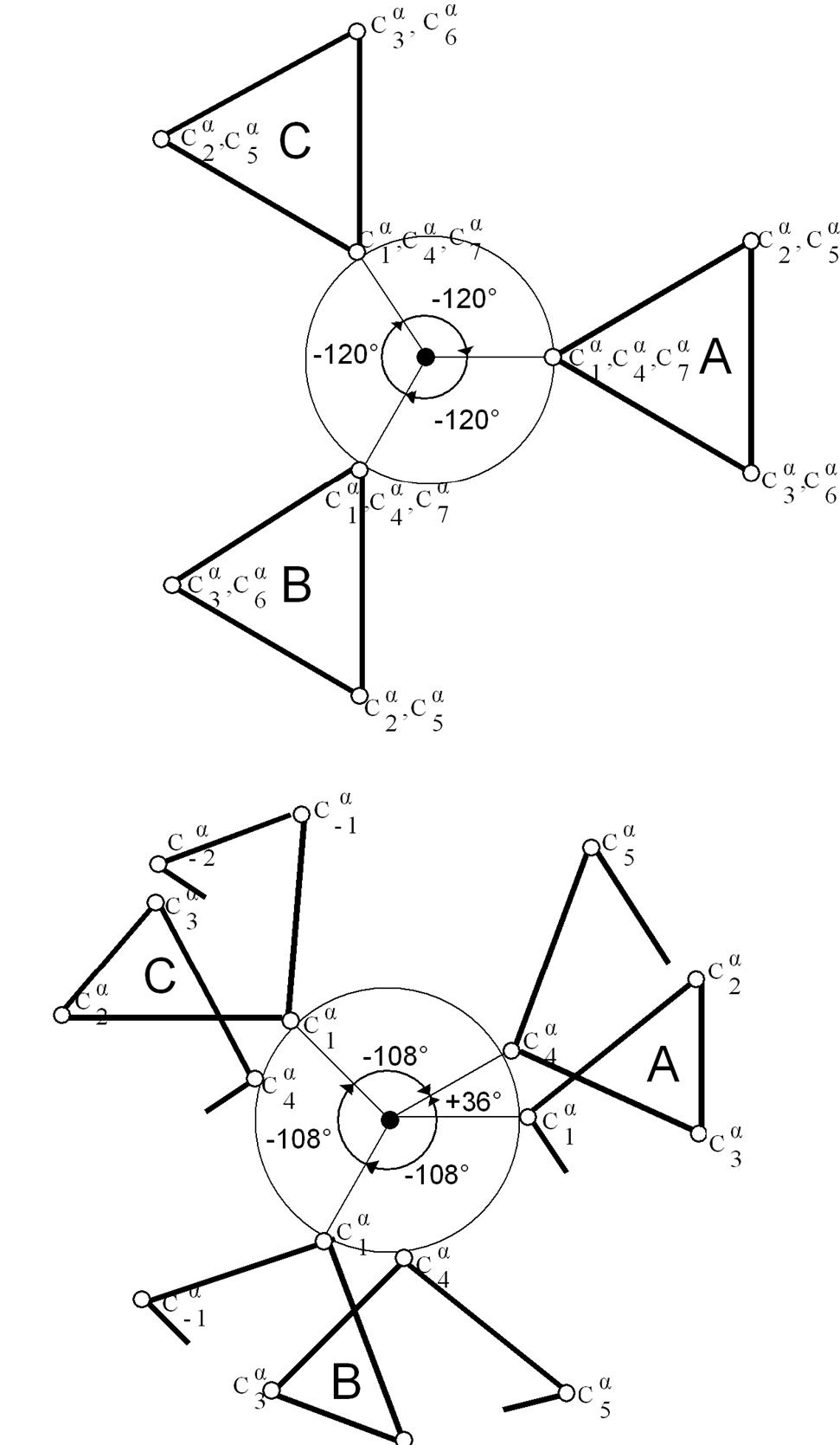 (a) schematic diagram showing the projection down the helix