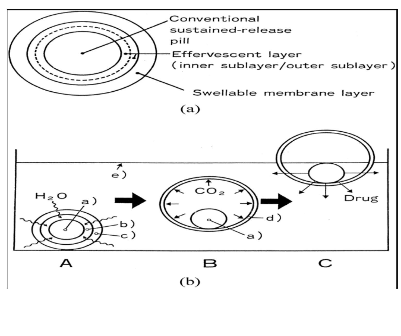 -6 pictorial diagram for multiple units of floating drug