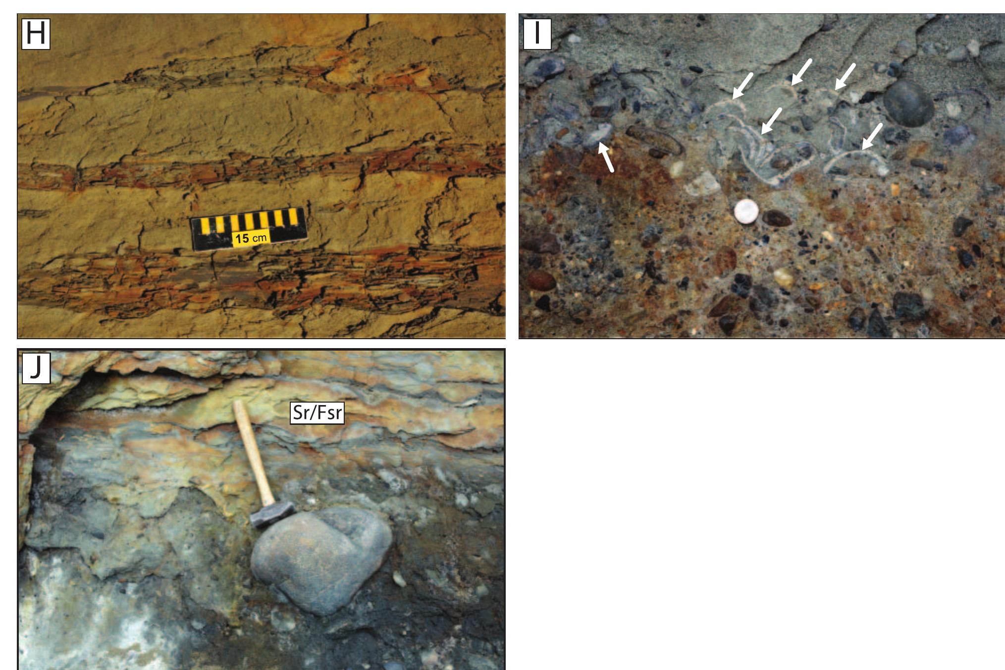 Continued. photographs of common lithofacies in facies