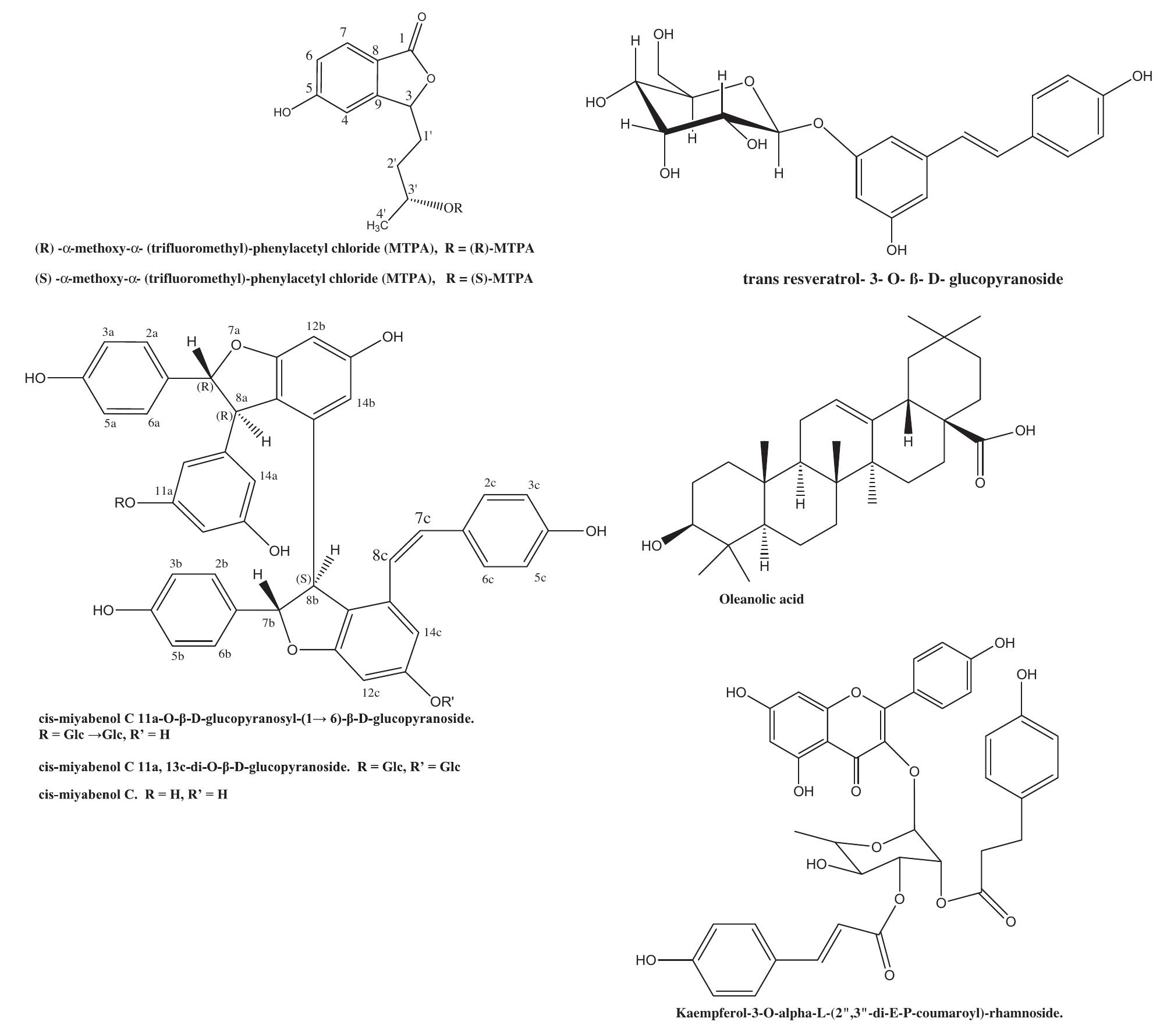 Molecular structures of some miscellaneous compounds