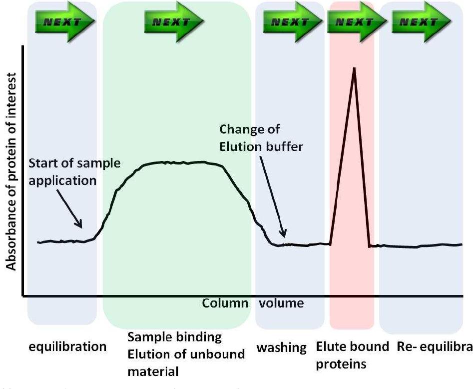 Separation of a desired protein using affinity