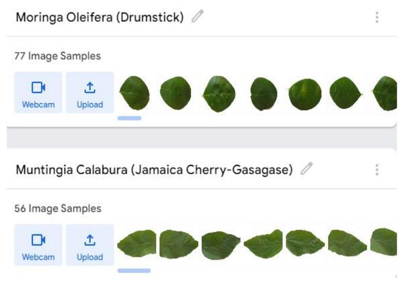 Sample images from mendeley dataset