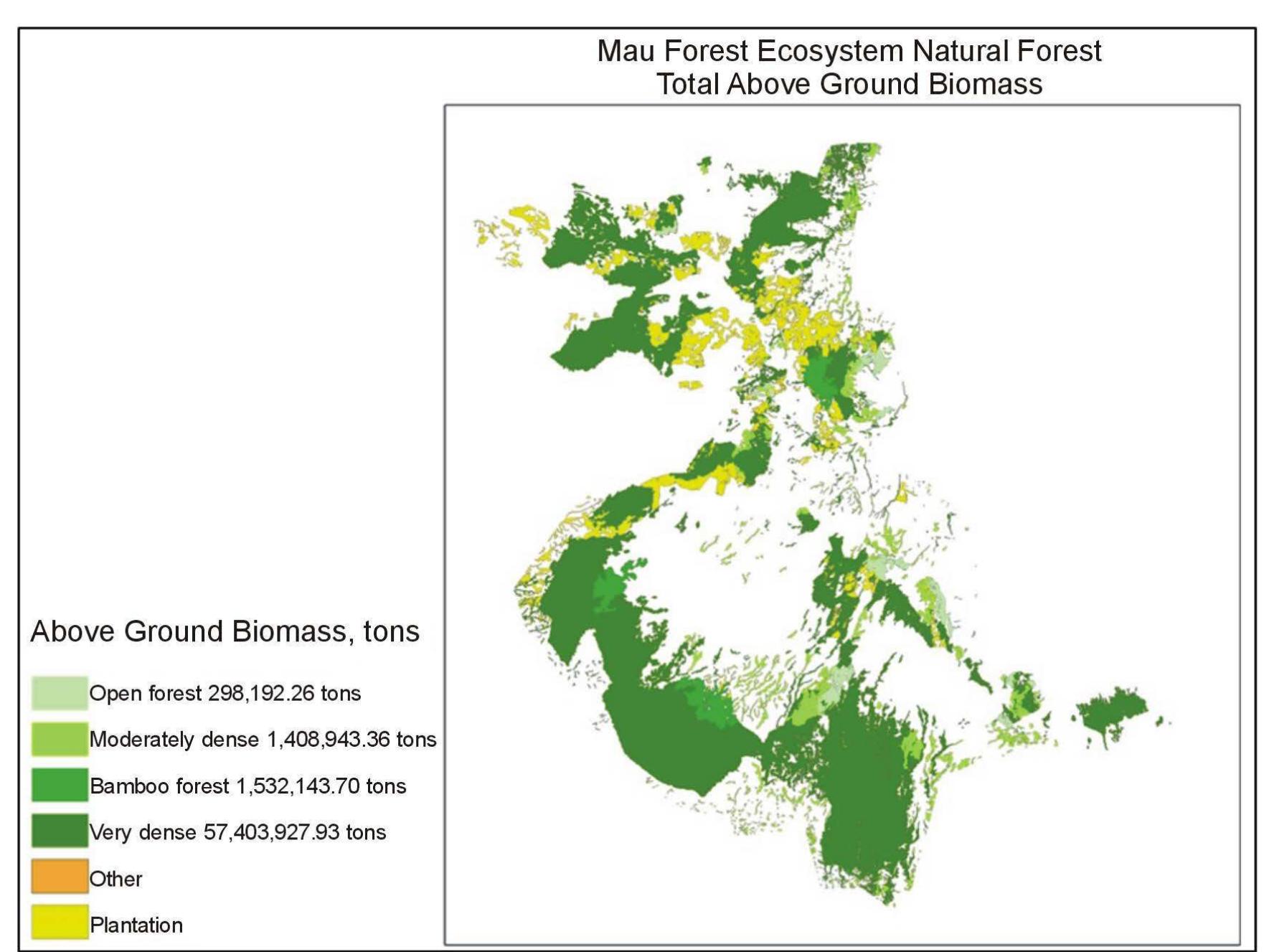 Total above ground biomass map for the mfe.