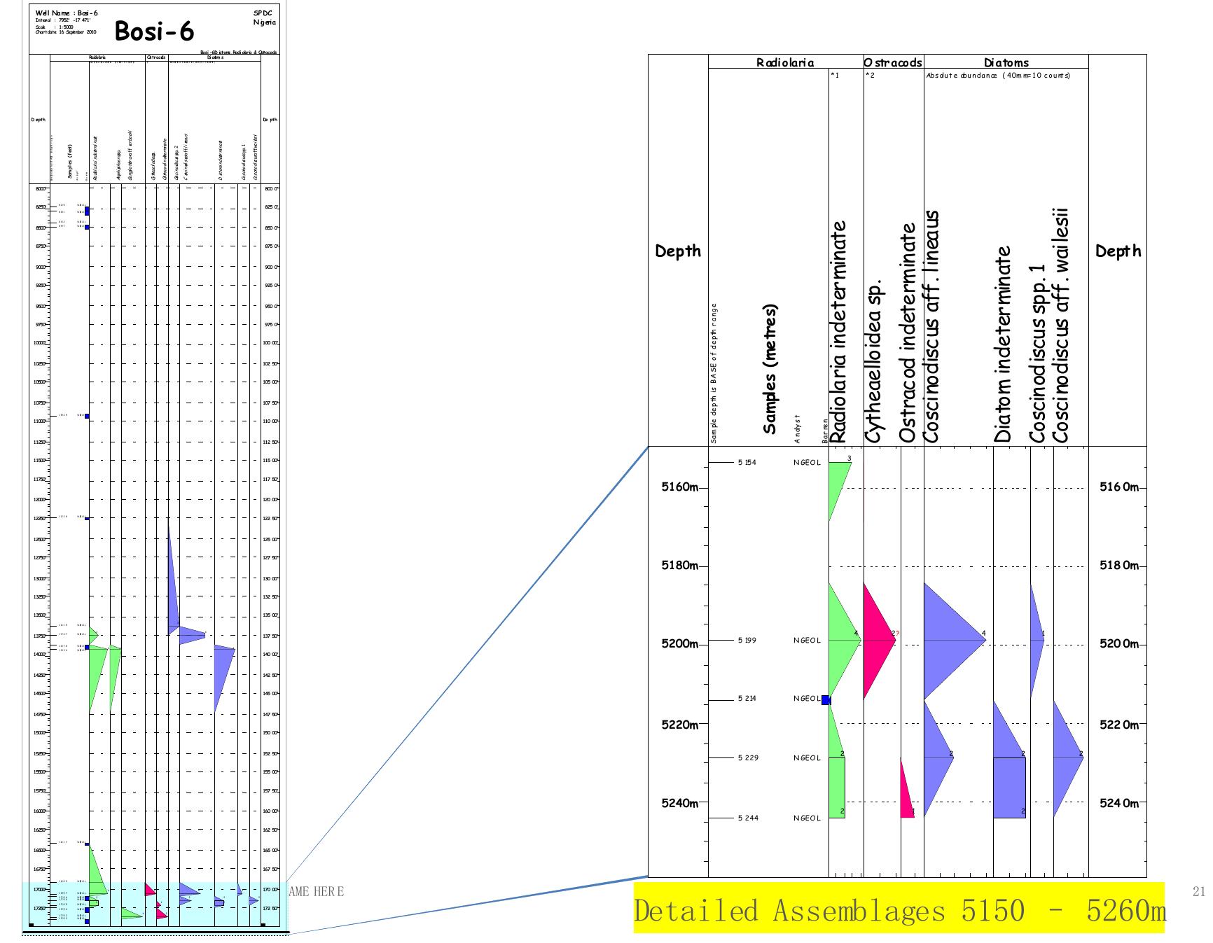 Ostracod, diatom and radiolariandistribution chart for the