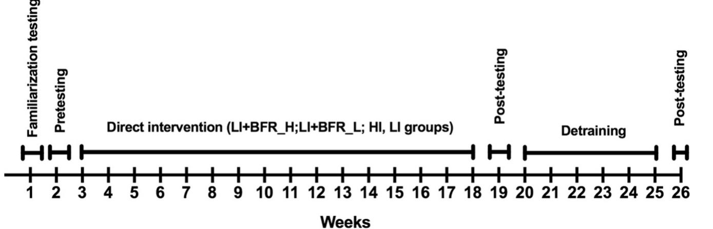 Timeline of the study intervention; li + bfr_h