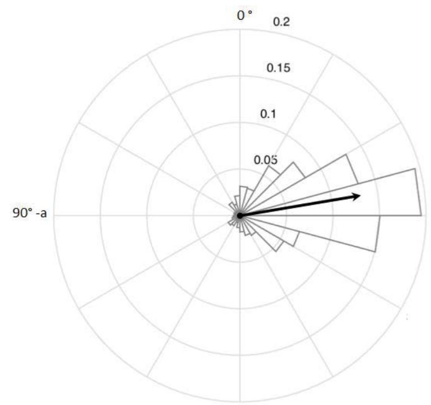 Polar diagram of the main axes of the n-plates, cross-
